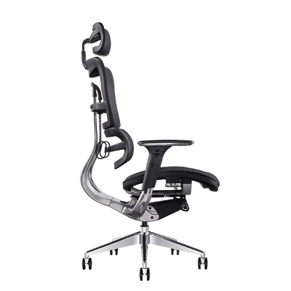 LifeCharge Physio & Rehab | Ergo Elite Ergonomic Chair(Heavy Duty)